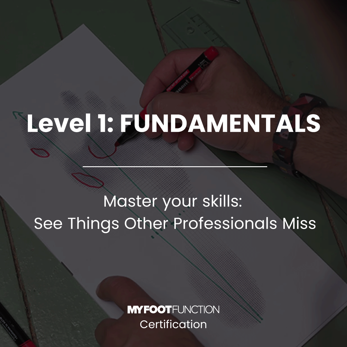 Foot Function Fundamentals – My Foot Function
