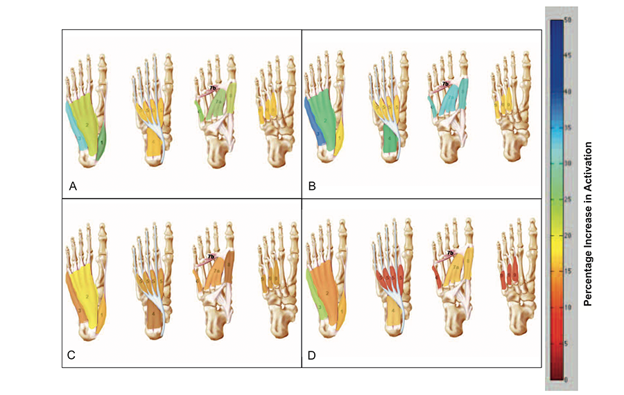 Activate your feet before moving! – My Foot Function
